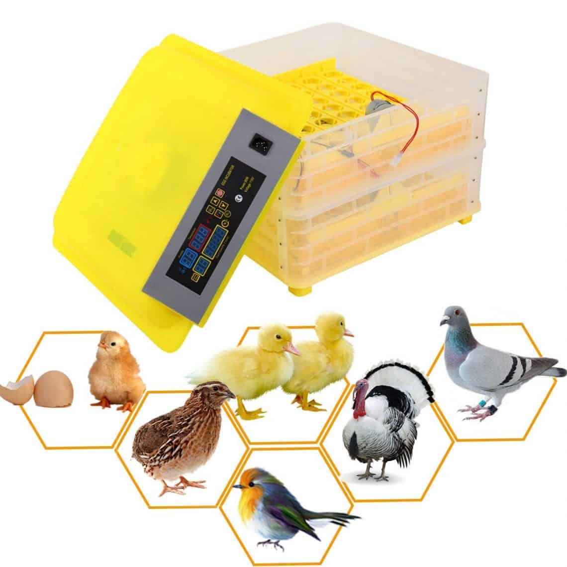 Acheter la meilleure couveuse automatique pas cher avec Bricolea