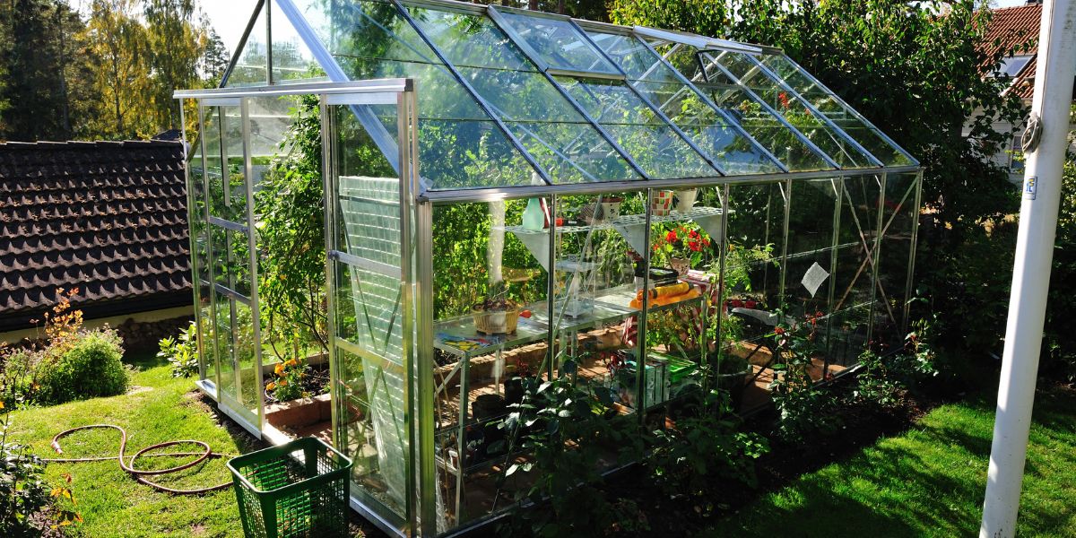 Comment planter et entretenir des plantes dans une serre